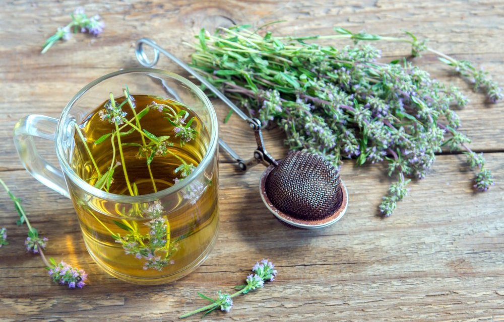 Comment préparer une tisane de thym et quels sont ses bienfaits pour la santé ? - Mon Corps